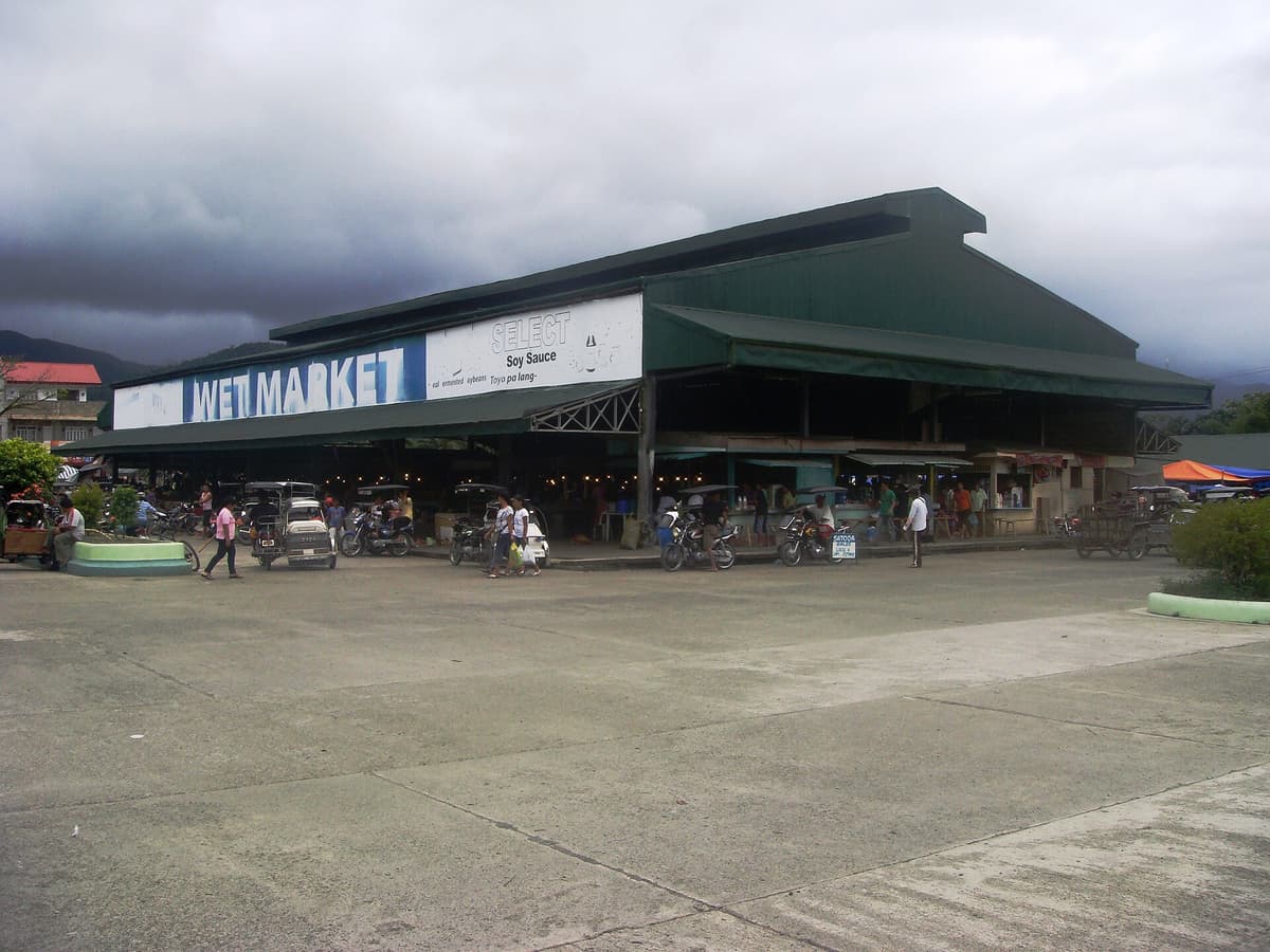 Pig Price Today Philippines: Presyo ng Baboy (May 2026) | Baboy PH